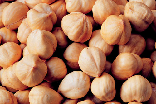 Nuts – ARIJ LEBNAN